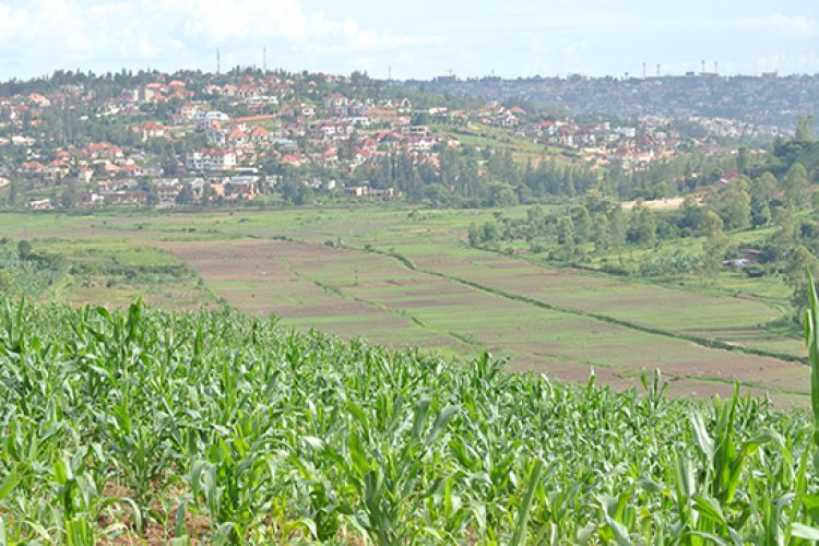Hari abakora ubuhinzi n'ubworozi bavuga ko babangamiwe n’imyubakire ...