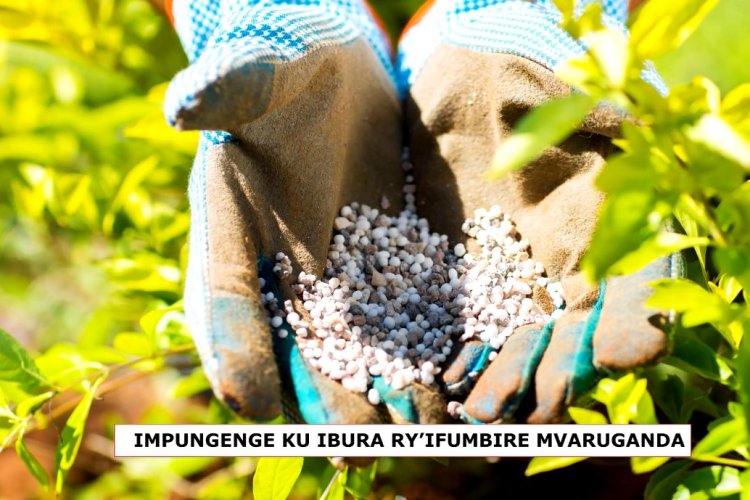 Intambara yo muri Ukraine:Abahinzi baravuga ko batewe impungenge n ...
