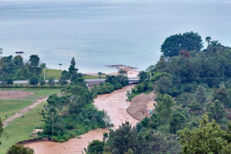 Kubungabunga icyogogo cya Sebeya byahinduye imibereho y'abaturage ...