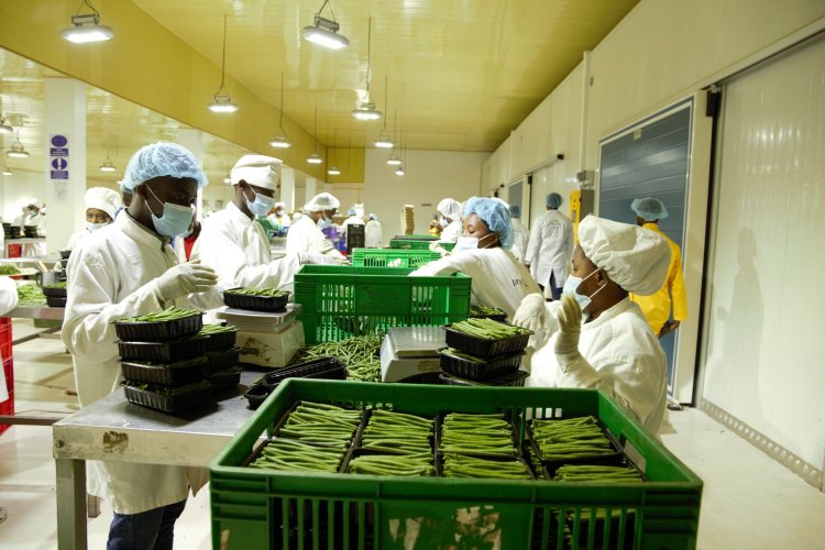 Impuzamasendika iravuga ko umushahara fatizo mu Rwanda utajyanye n ...