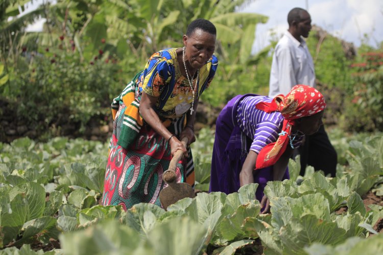 Hakenewe imishinga rusange y'ikitegererezo ibyara inyungu muri buri ...