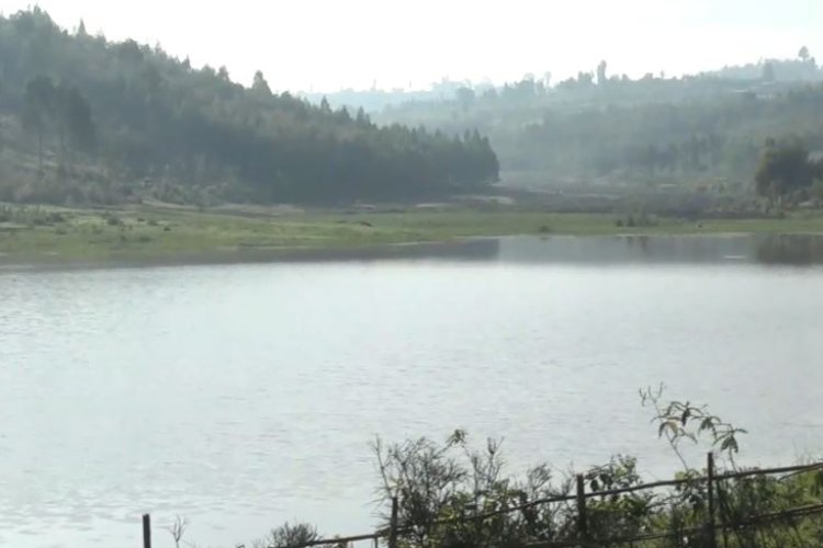 Huye - Ruhashya : Icyuzi cya Cyarubare gikomeje gutwara ubuzima bw ...