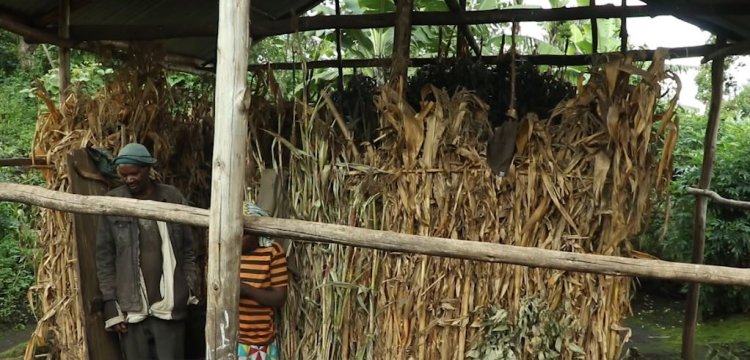 Burera: Hari imiryango yo mu murenge wa Gahunga itishoboye ikiba mu nzu ...