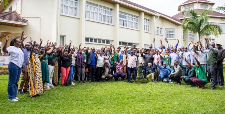 Iburasirazuba: Abahinzi barimo kwigishwa guhinga kinyamwuga - Isango ...